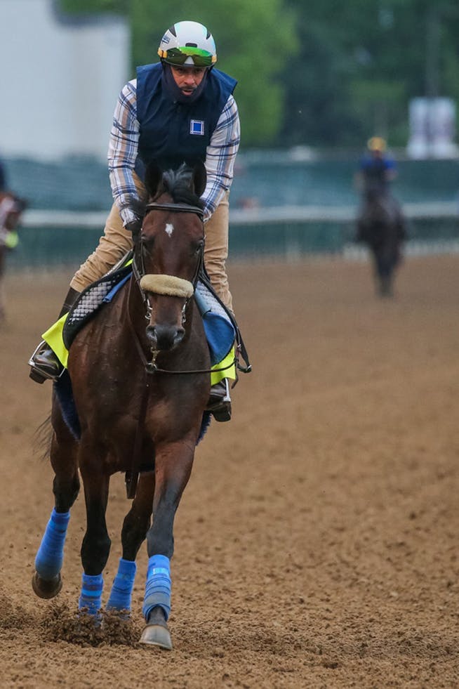 Kentucky Derby Horses: Full List of Contenders & Entries | TwinSpires