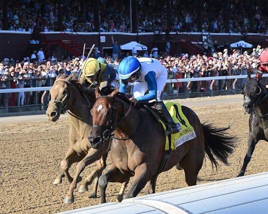 Forego Stakes History & Results | TwinSpires