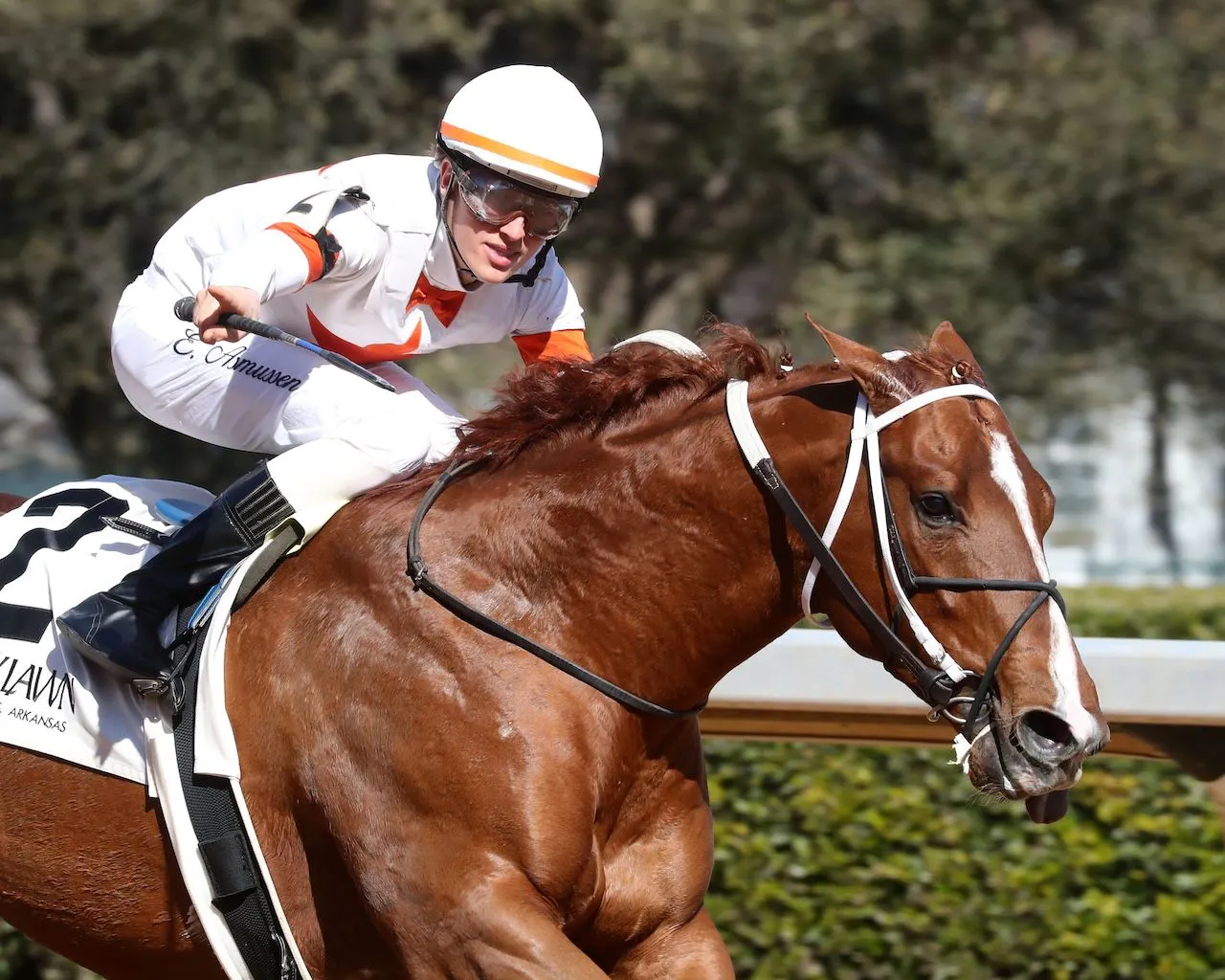 Betting With, and Against, Booth in the Whitmore Stakes | TwinSpires