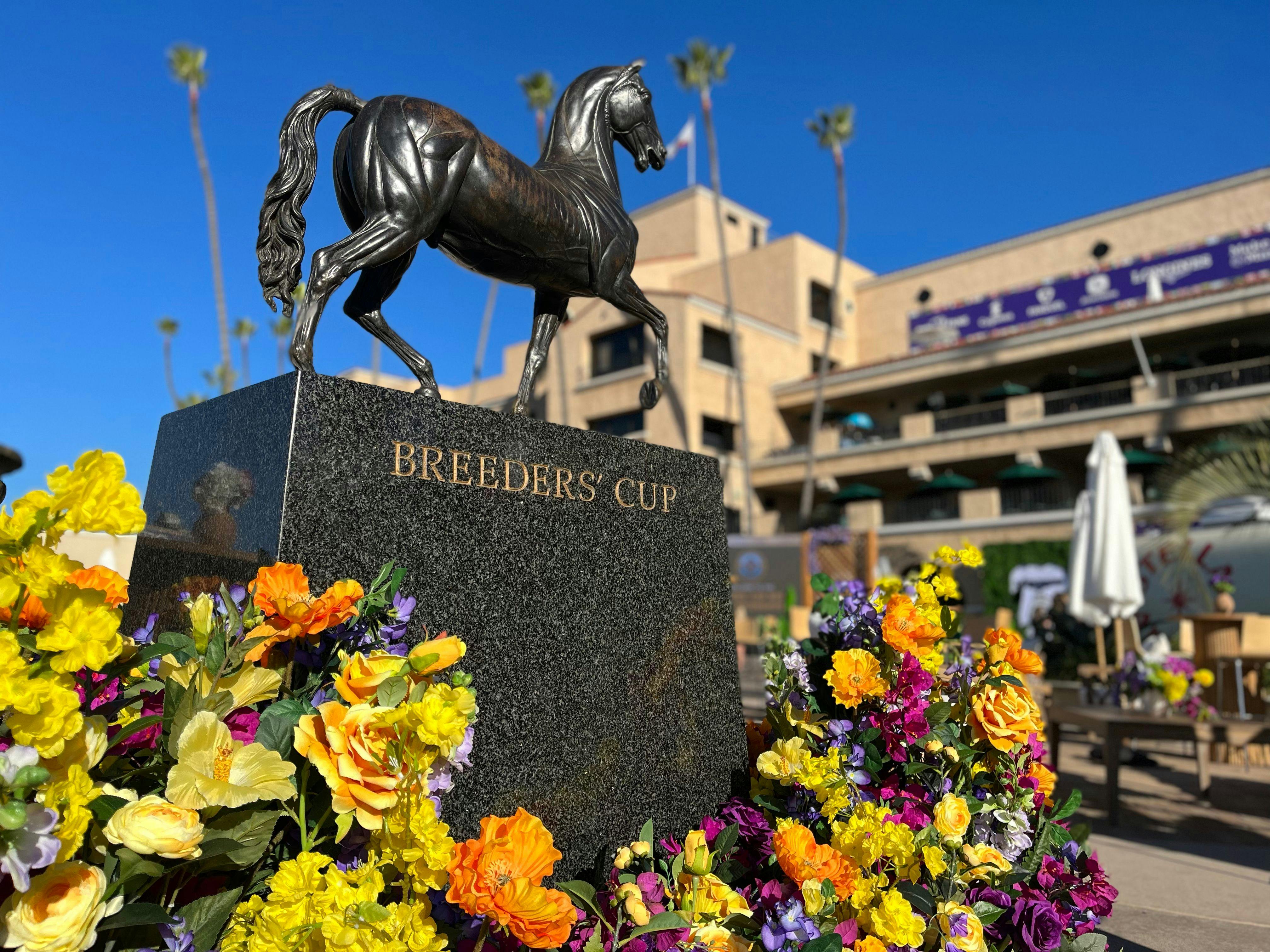 2024 Breeders' Cup LIVE Updates: Odds, Expert Picks, Horses | TwinSpires
