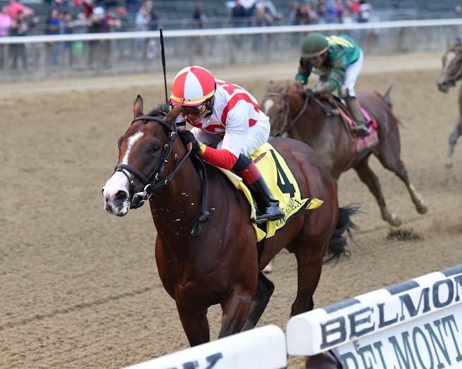 Complexity dashes to early lead among 2024 first-crop sires | TwinSpires
