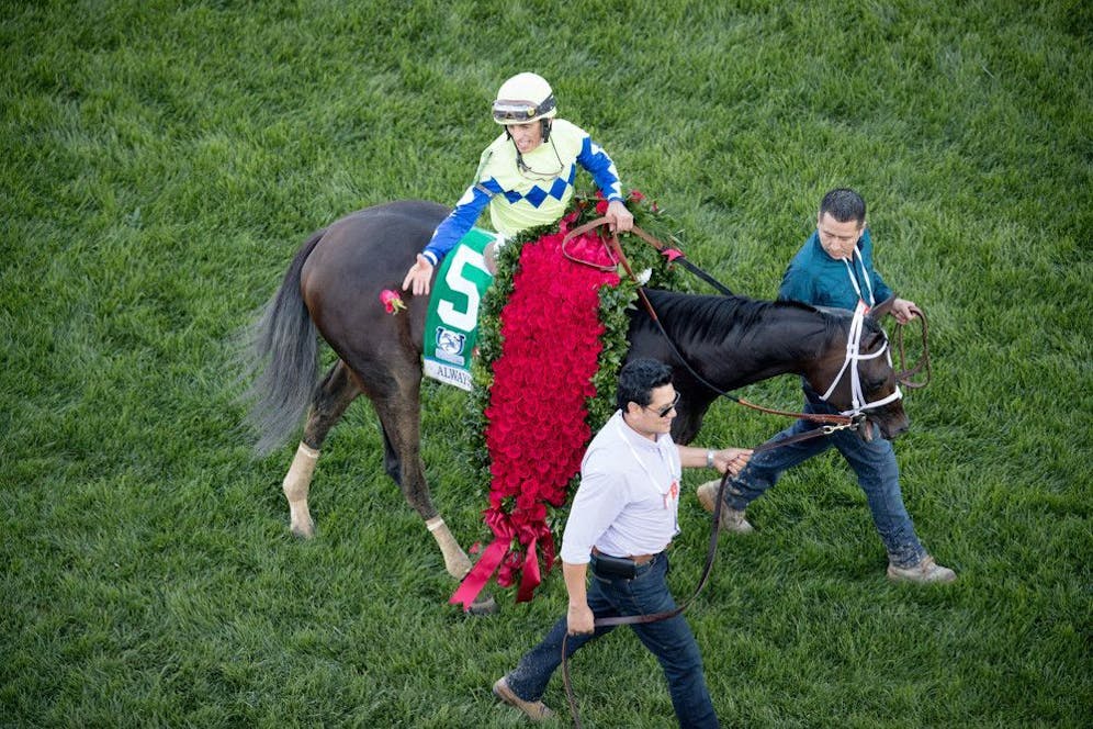 How the rose became the Kentucky Derby's signature flower | TwinSpires