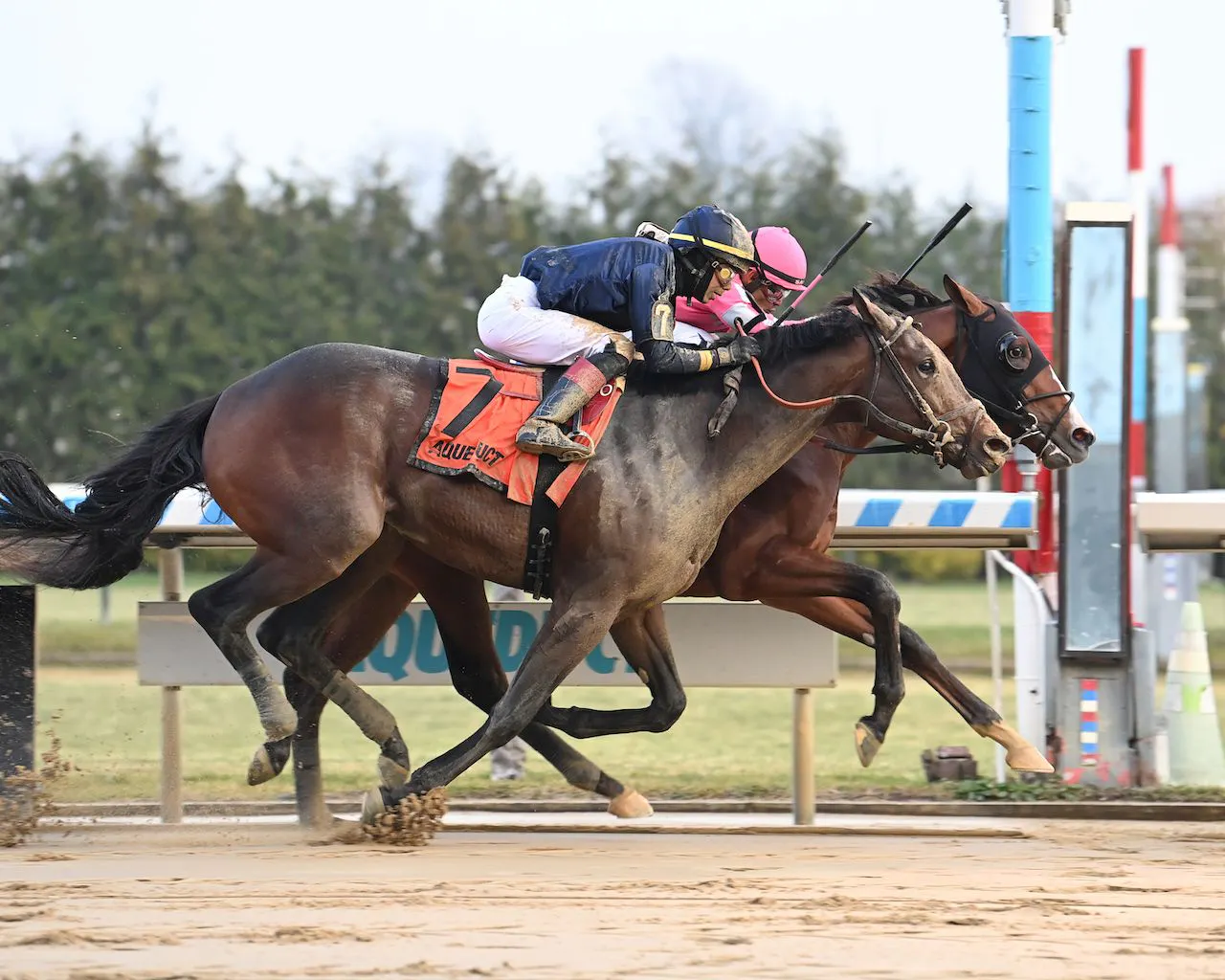 Kentucky Derby pedigree profile: Dornoch | TwinSpires