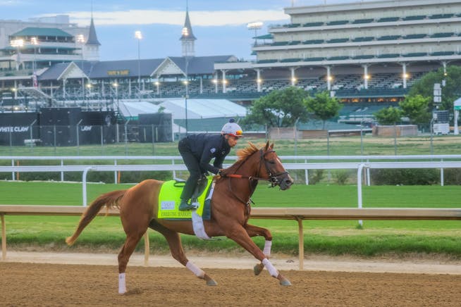 2026 Belmont Stales Horses: Full List of Contenders, Entries | TwinSpires
