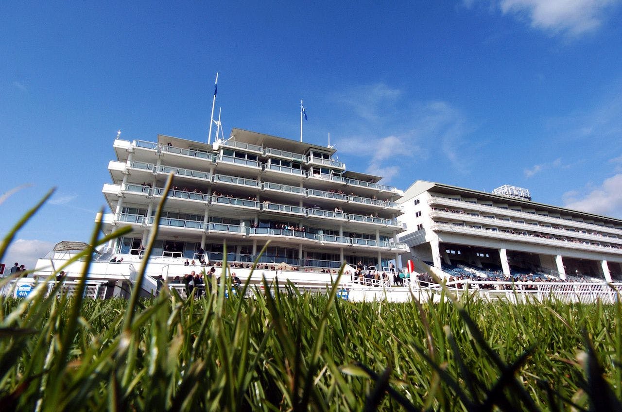 2024 Epsom Oaks Preview and Bonus Play for Coronation Cup | TwinSpires