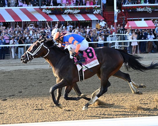 2024 Travers Weekend with odds, results, replays, & offers | TwinSpires