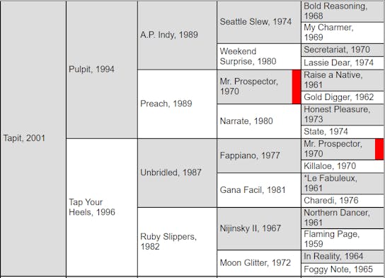 Pedigree lingo: Phrases to known in horse racing | TwinSpires