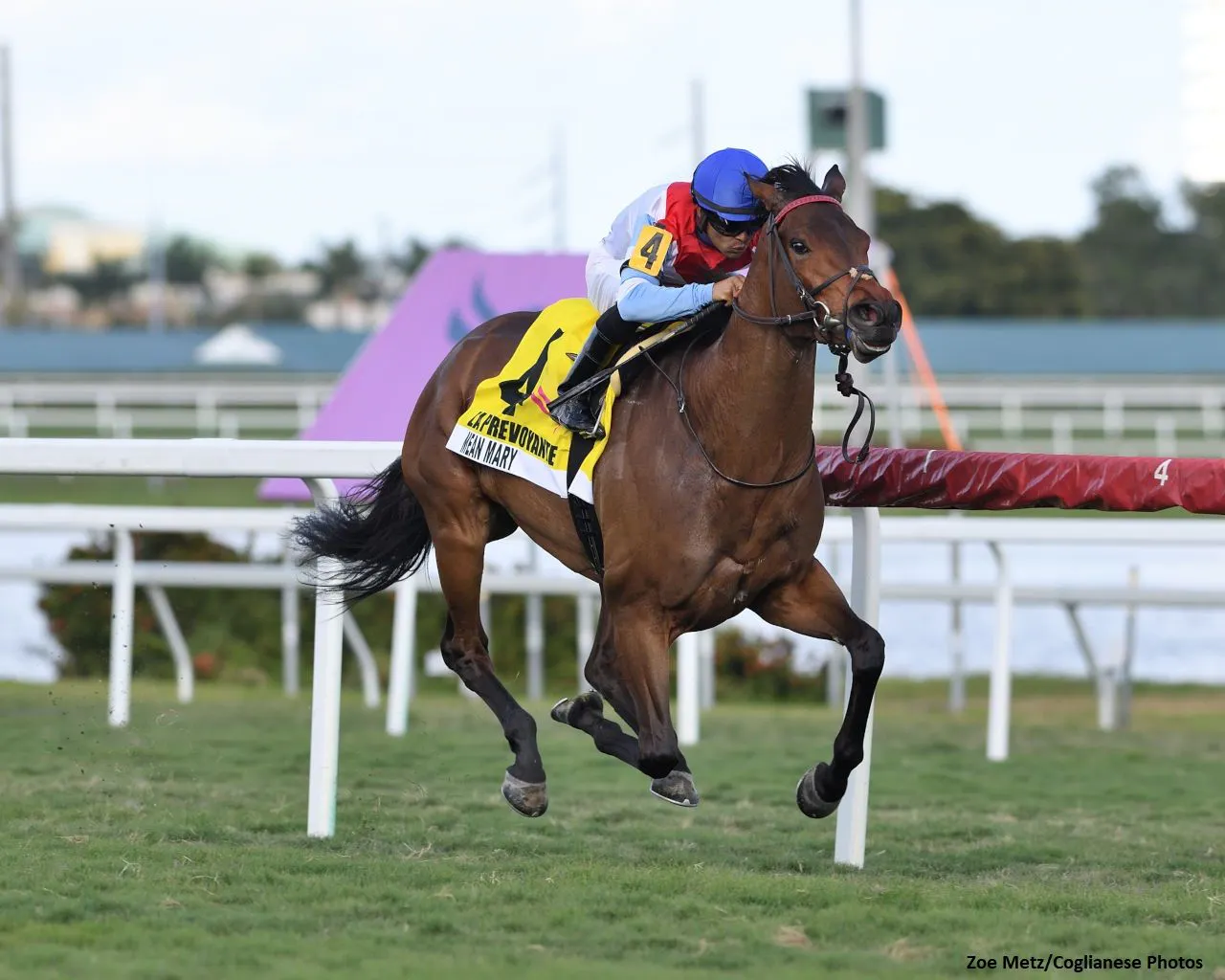 Racing Spotlight: Mean Mary, Joel Rosario, Brittany Vanden B | TwinSpires