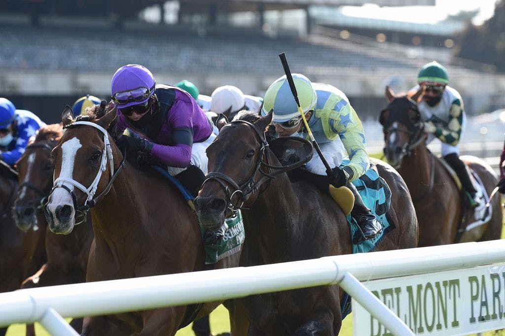 Graded stakes spot plays for Haskell Day | TwinSpires