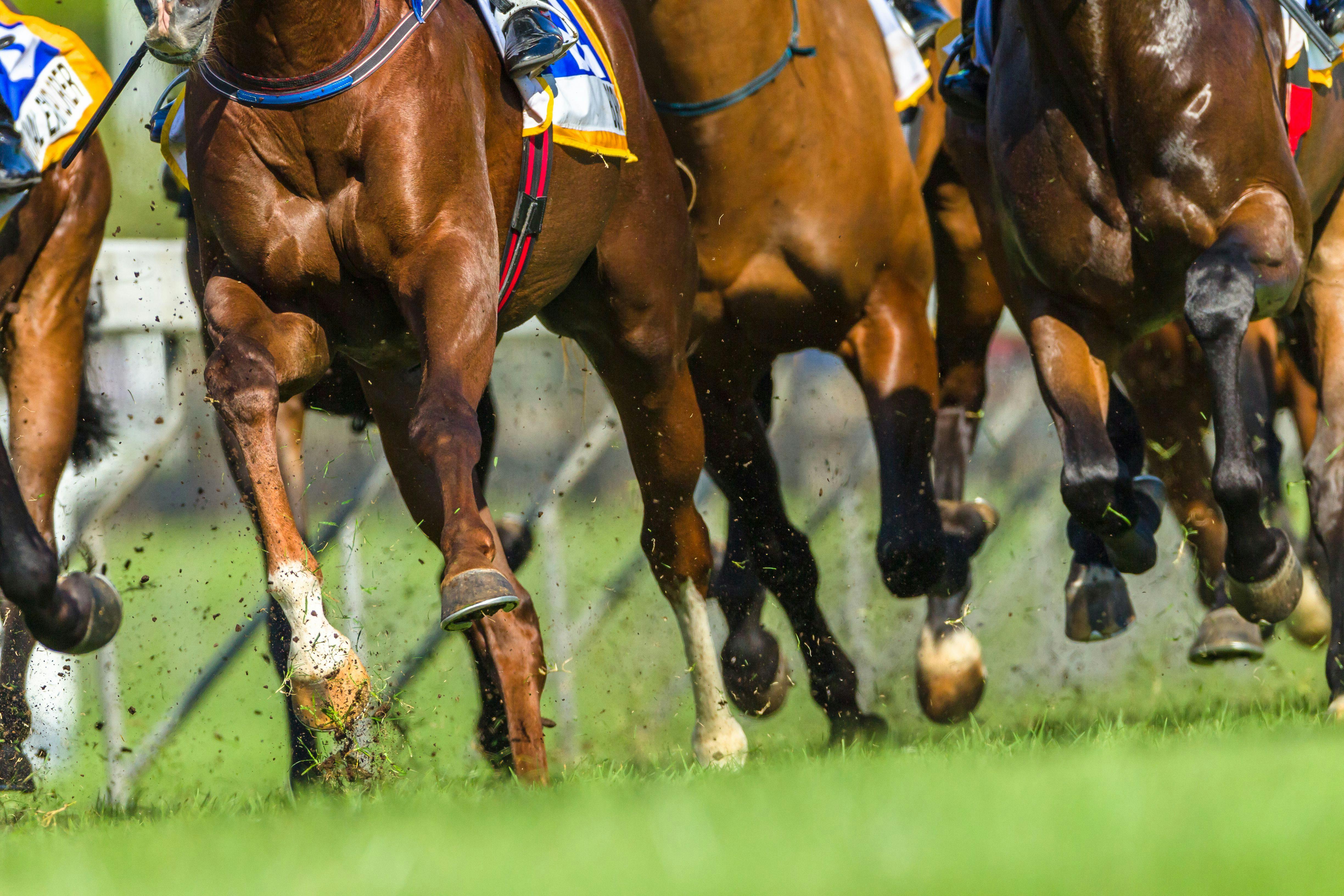 Australian horse racing picks for Wyong | TwinSpires
