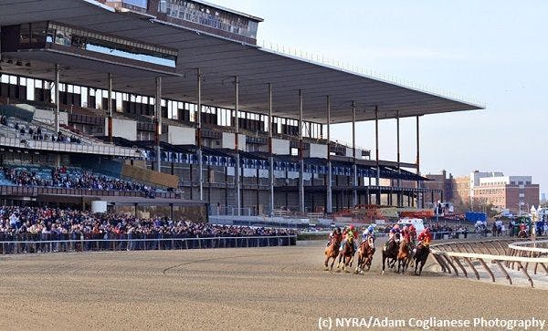 How to bet With, and Against, Occult in the 2023 Busanda Sta | TwinSpires