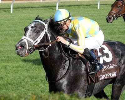 Casse juveniles, Dothraki Queen gearing up for Churchill run | TwinSpires