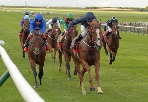 Breeders’ Cup updates: Alice Springs wins, Spain Burg to Juv | TwinSpires