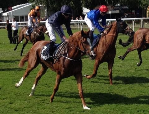 Alice Springs, Roly Poly give O’Brien a Newmarket double; Ve | TwinSpires