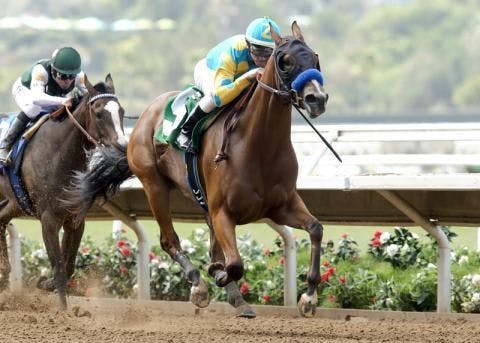 American Cleopatra rolls in debut, one-ups brother Pharoah | TwinSpires