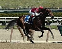 If mile races create the best sires, why are there fewer of | TwinSpires