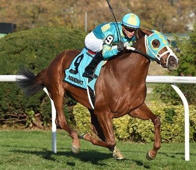 Bigger Picture conquers Red Smith Handicap | TwinSpires