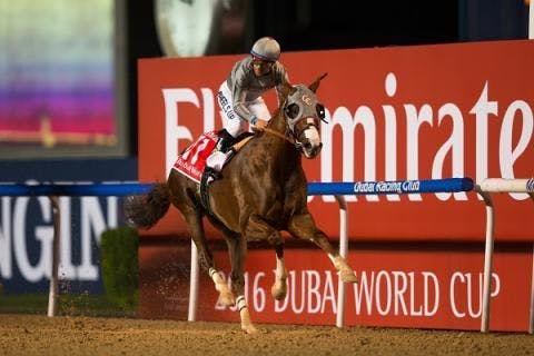 California Chrome becomes a legend in Dubai World Cup | TwinSpires