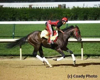 Seven Kentucky Derby Horses in Seven Days: Classic Empire | TwinSpires