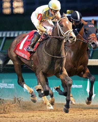 Classic Empire Evokes Thoughts of American Pharoah Following | TwinSpires