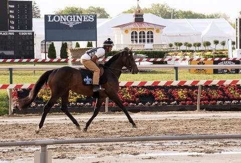 Exaggerator feeling good on return to the track | TwinSpires