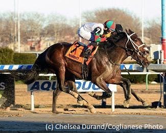 Kentucky Derby BRIS Speed Rating Report: Jerome Stakes | TwinSpires