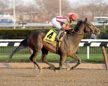 Flexibility much the best in Jerome | TwinSpires