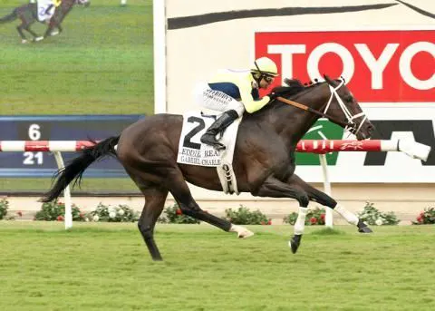 Gabriel Charles finds conditions ideal in Eddie Read | TwinSpires