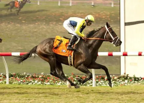Gabriel Charles among Saturday stakes spot plays | TwinSpires