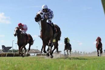 Little Mike fifth in comeback | TwinSpires