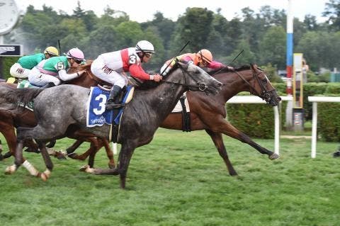 Grand Arch looking to register back-to-back wins in Fourstar | TwinSpires