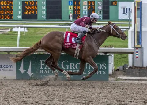 Gun Runner looks to topple elders in Clark | TwinSpires