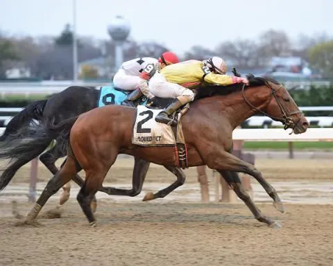 32-1 Heaven’s Runway foils former stablemate ‘Dude in Fall H | TwinSpires