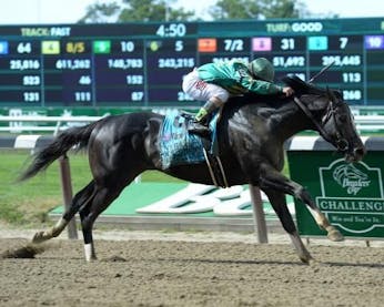 A closer look at the Whitney field | TwinSpires