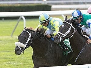 2016 resolution: Concentrate more on stakes | TwinSpires