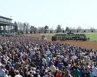 The best last-out Brisnet.com Speed Rating is beating the me | TwinSpires