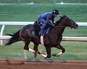 Limousine Liberal, Union Jackson square off in Aristides | TwinSpires