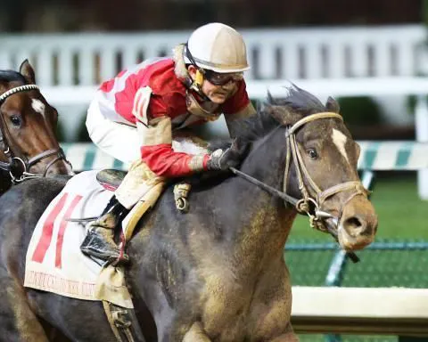 McCraken a popular and worthy single to start All Stakes Pic | TwinSpires