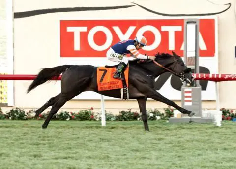 Midnight Storm can get jump on Bolo, Om in Kilroe Mile | TwinSpires