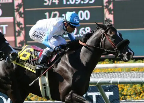 Midnight Storm gets double form boost ahead of Del Mar Mile | TwinSpires