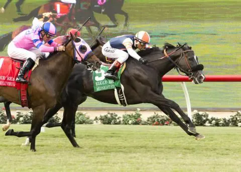 Midnight Storm fends off all comers in Eddie Read | TwinSpires