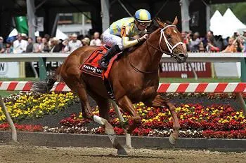 Noble Bird shows he’s best on the lead in Pimlico Special | TwinSpires