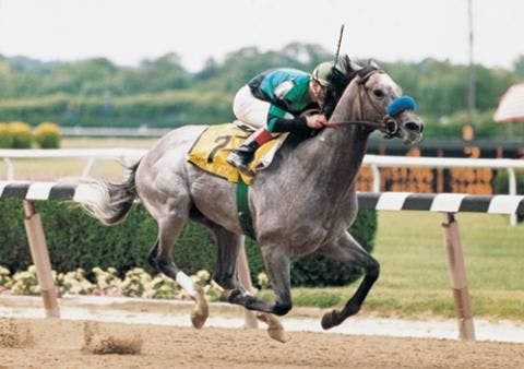 Champion sprinter Smoke Glacken dead at 22 | TwinSpires