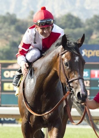 Songbird ‘has wings on her hooves,’ flies to Summertime Oaks | TwinSpires