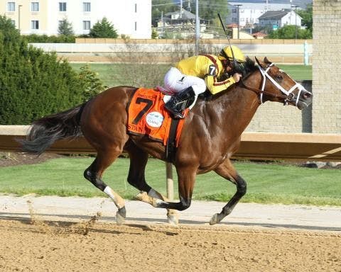 Stanford the one to beat in Pimlico Special if he runs | TwinSpires