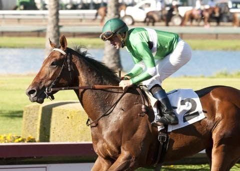 Swipe faces nine in Lexington return | TwinSpires