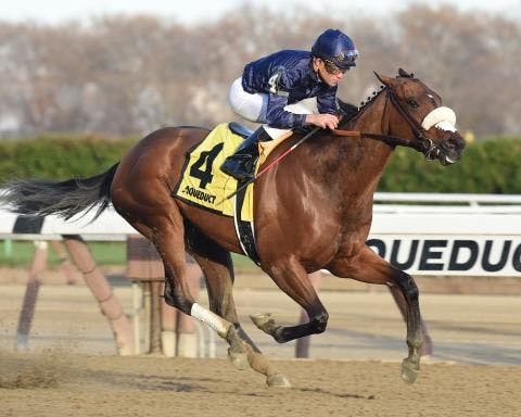 Taris, Birdatthewire stretch out in La Canada after big wins | TwinSpires