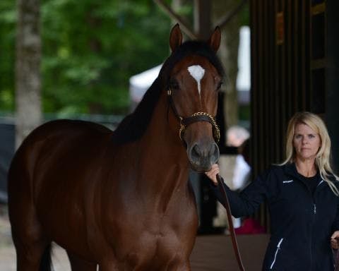 Texas Red maturing physically, mentally ahead of Travers | TwinSpires