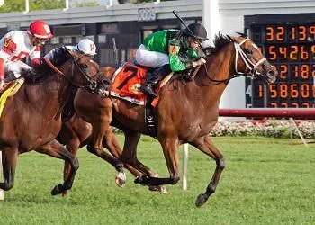 The Pizza Man headlines Million Preview Day at Arlington | TwinSpires