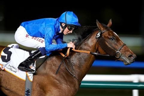 Million-bound Tryster tops Godolphin squad for Arlington | TwinSpires